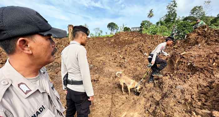 Ketangkasan K9 Polri Beraksi Dengan Insting dan Penciumannya